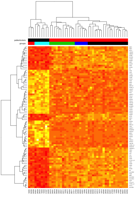 R绘图基础（10）热图 heatmap | Public Library of Bioinformatics