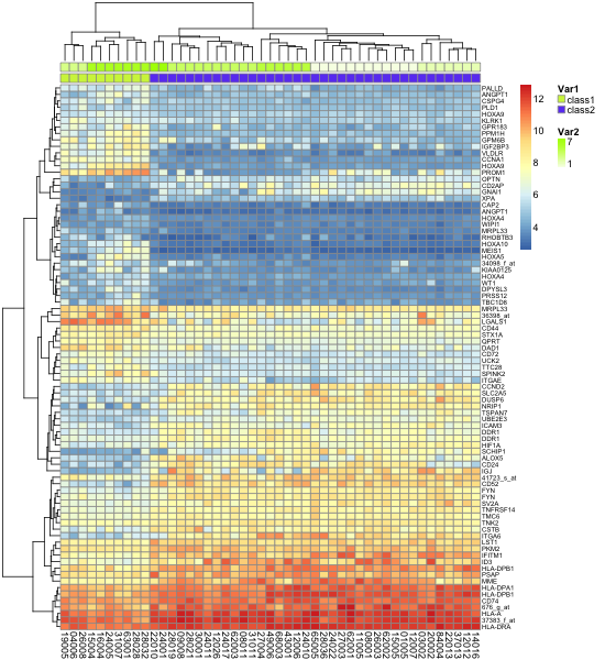 R绘图基础（10）热图 heatmap | Public Library of Bioinformatics